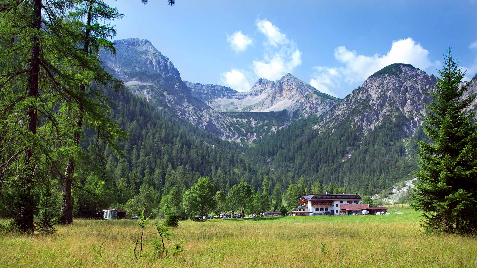 Urlaub auf der Alm - Gern Alm Pertisau, Achensee